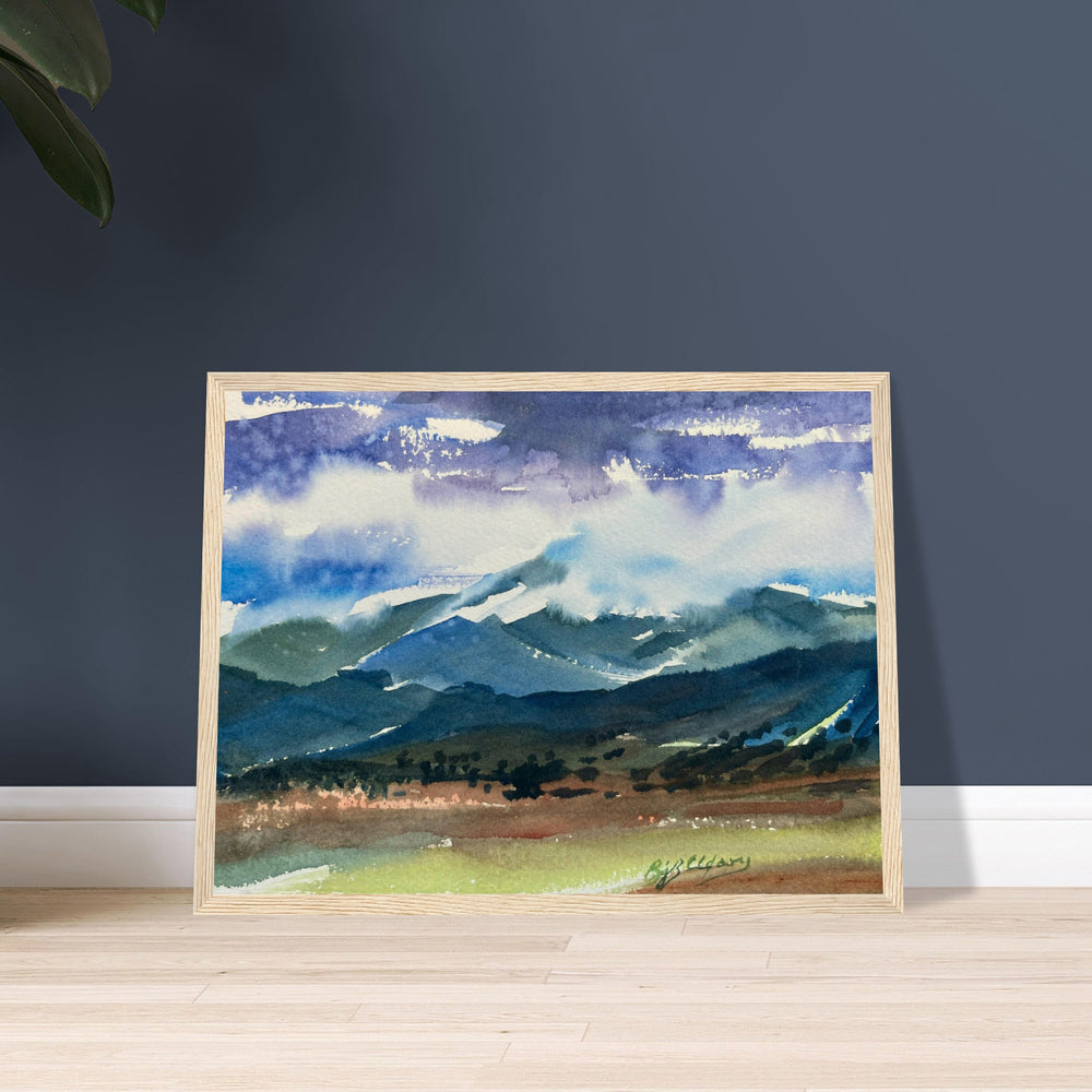 Barbara Cleary Designs