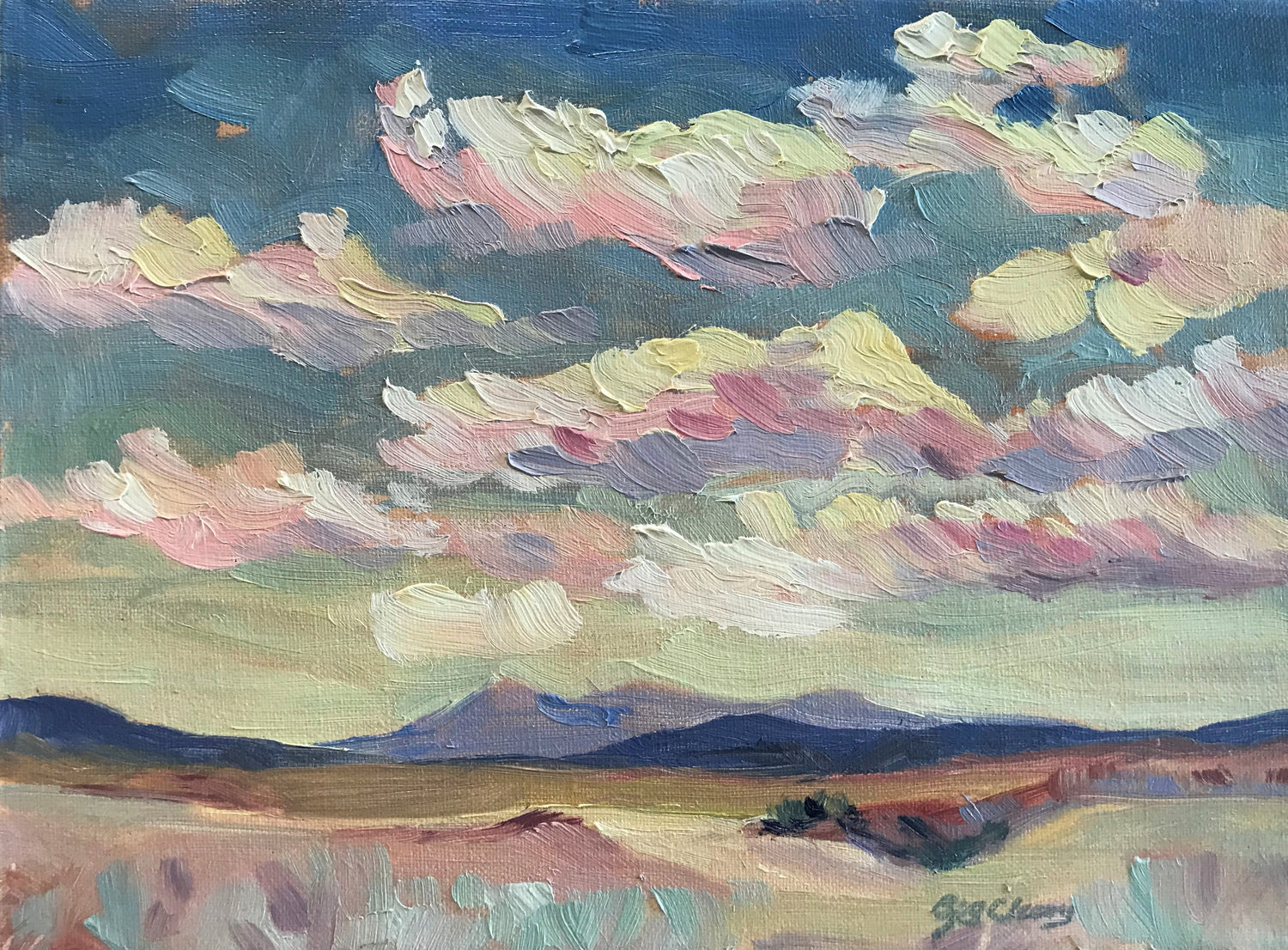 Barbara Cleary Designs